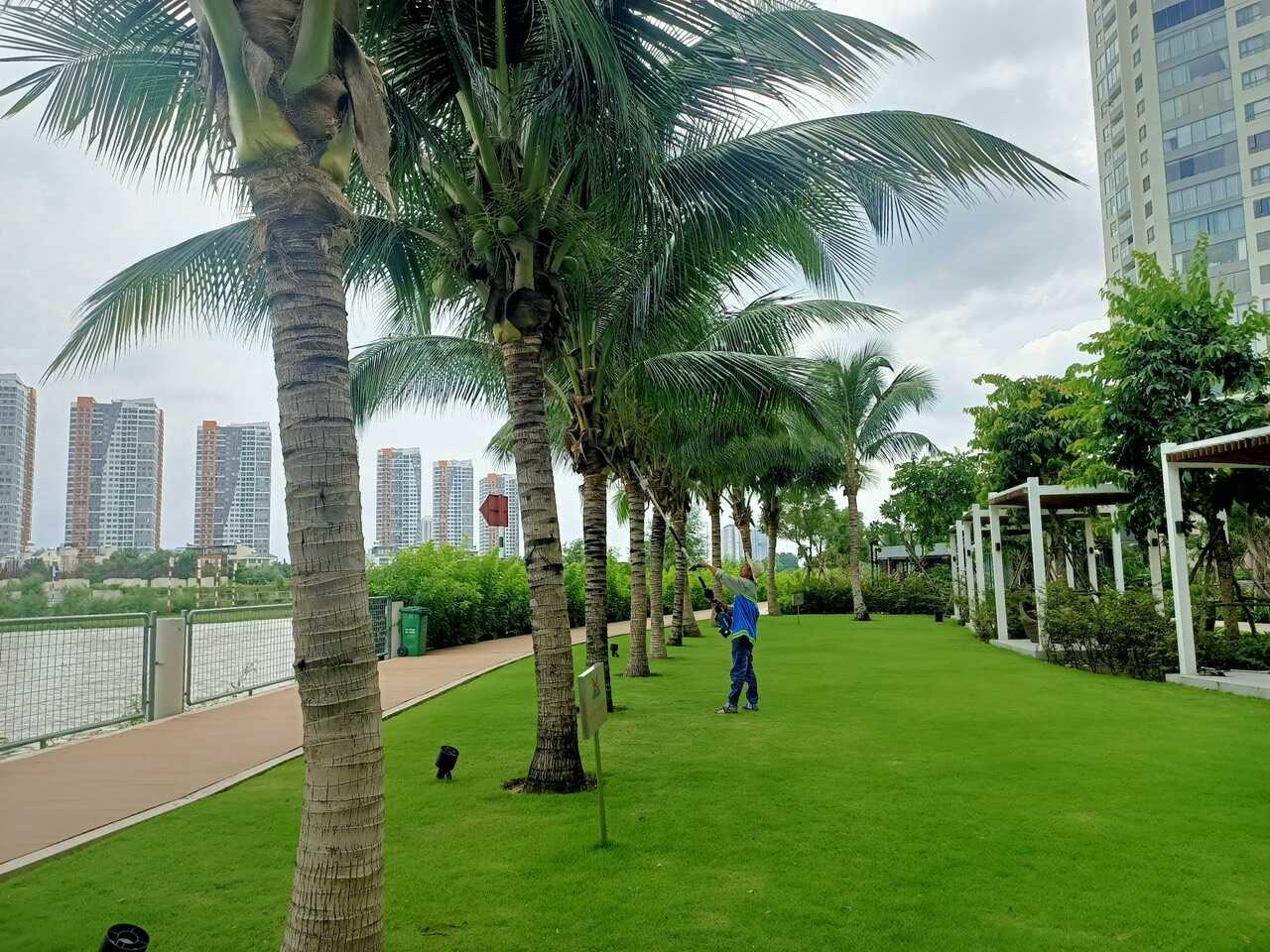 Diamond Island